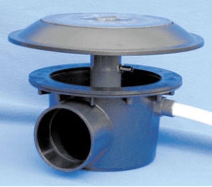 Know This Before Owning Koi - Backyard Water Garden