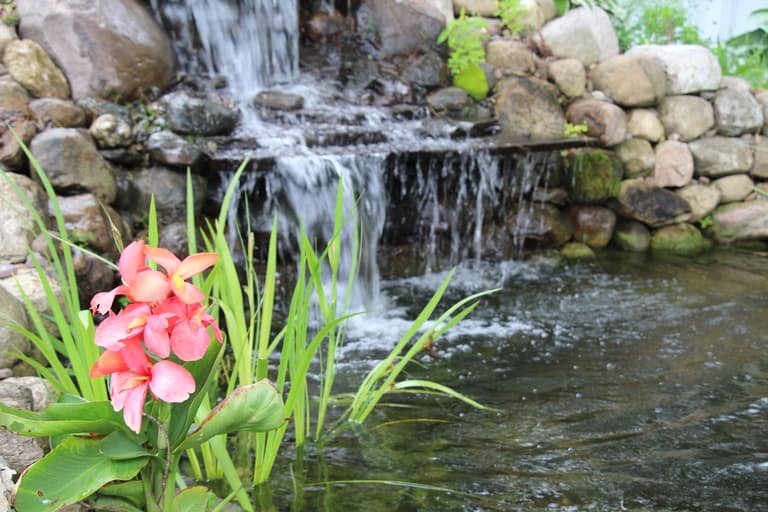 How To Use Salt In Your Pond The Right Way - Backyard Water Garden