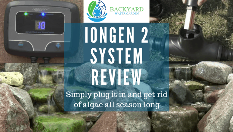Iongen 2 Algae Control System Review - Backyard Water Garden