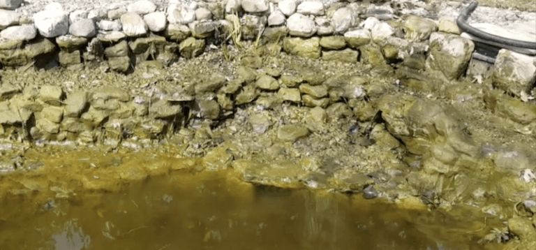 Guide To Muck Control - Backyard Water Garden