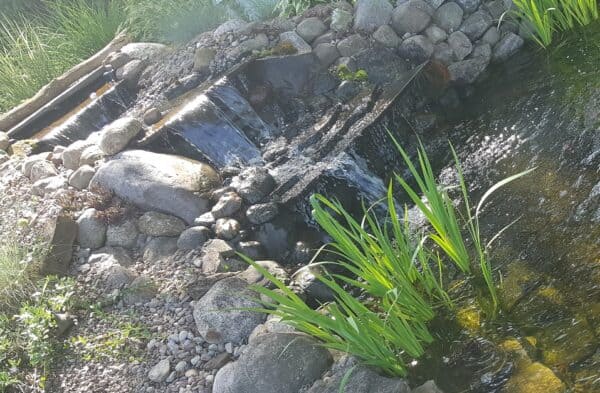 Building Your Backyard Waterfall - Backyard Water Garden