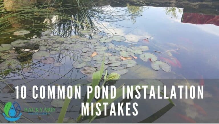 10 Common Pond Installation Mistakes - Backyard Water Garden
