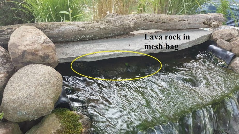 How To Build The Ultimate Backyard Pond - Backyard Water Garden