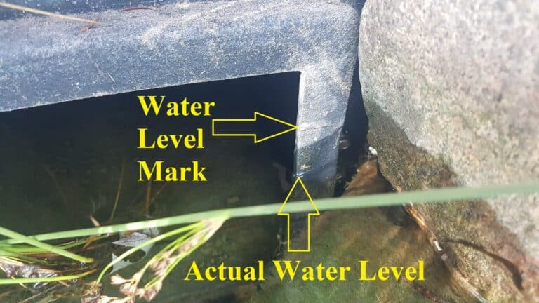 How To Build The Ultimate Backyard Pond - Backyard Water Garden