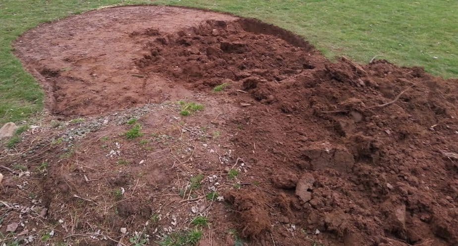 How To Build The Ultimate Backyard Pond - Backyard Water Garden