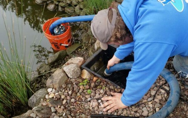 Spring Clean Your Pond Like The Pros - Backyard Water Garden