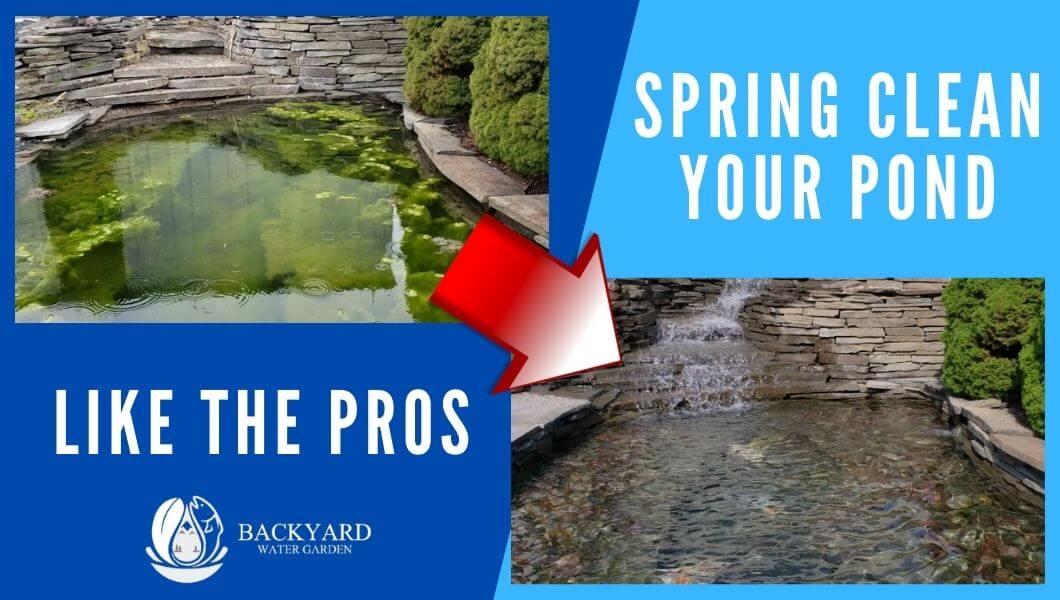 Spring Clean Your Pond Like The Pros - Backyard Water Garden